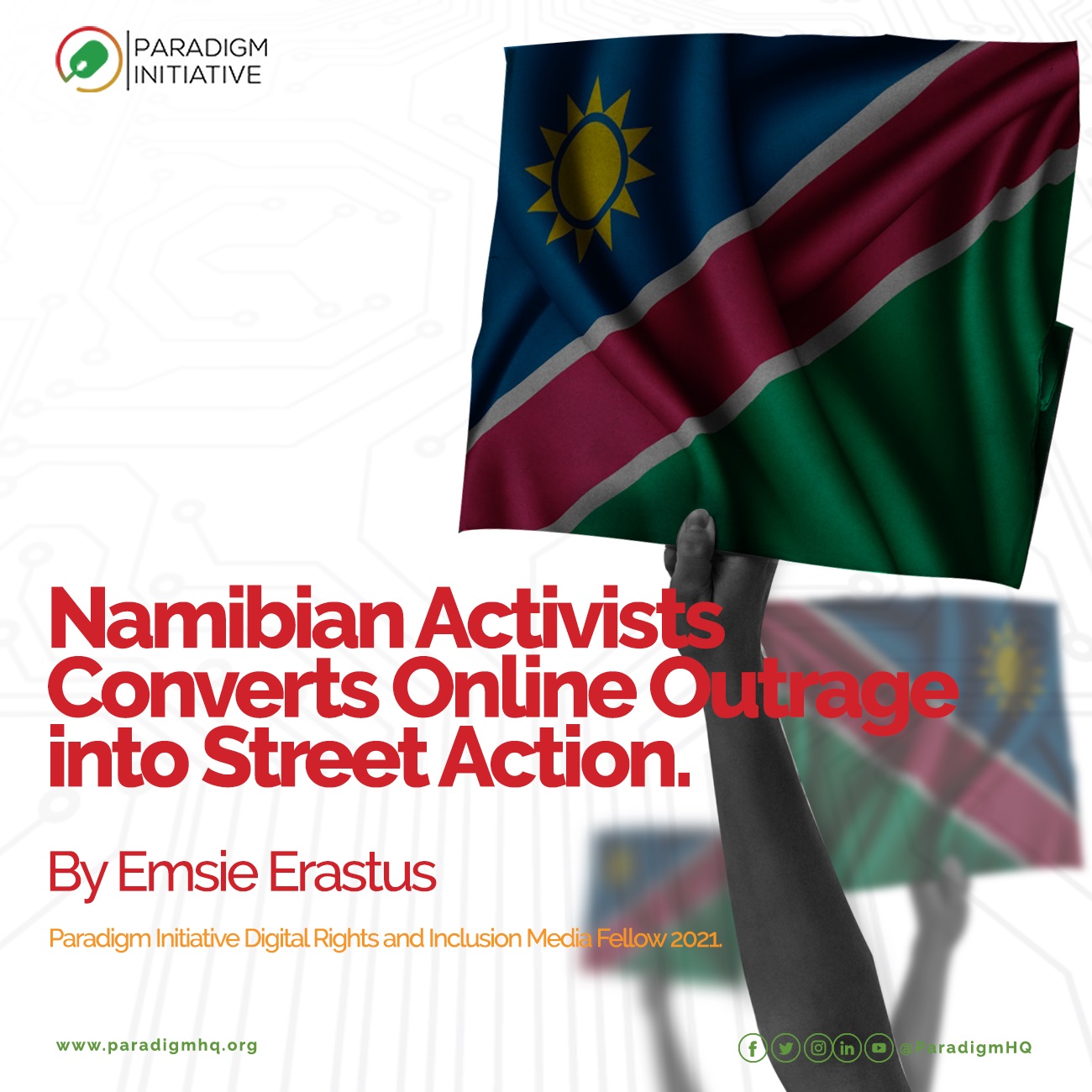 Namibian Activists Convert Online Outrage into Street Action - Paradigm ...