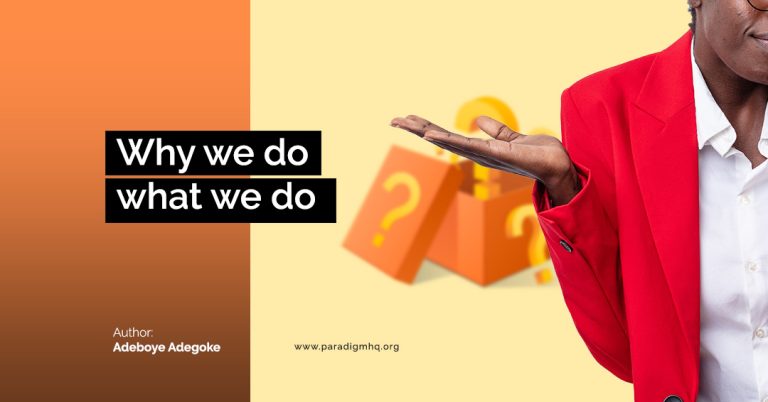 Why we do what we do - Paradigm Initiative